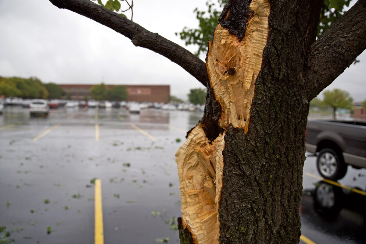 Legacy Junior high loses sky lights to tornado, other Davis schools ...